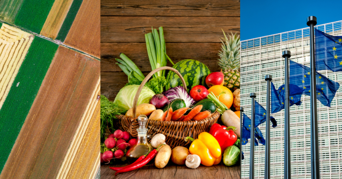 Getting out of business as usual: four conditions for building a new agreement on the European ...